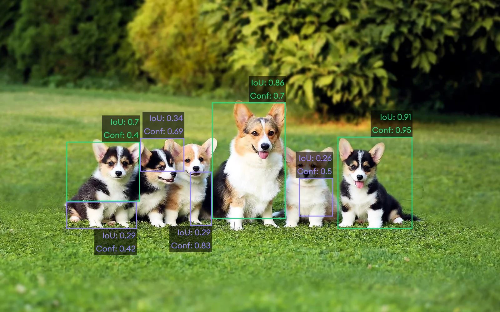 Mean average precision (mAP) in object detection | SuperAnnotate